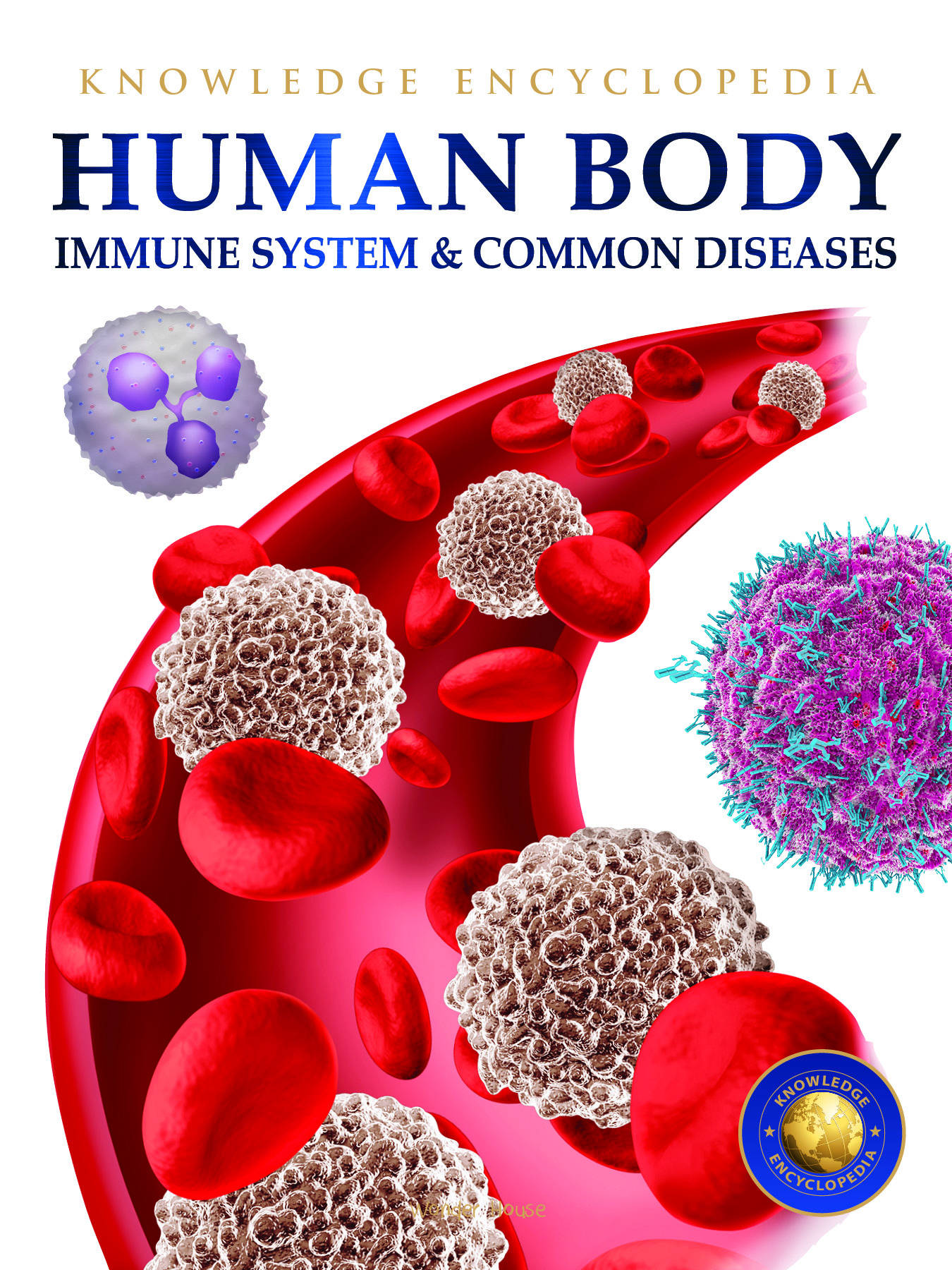 Human Body - Immune System And Common Diseases: Knowledge Encyclopedia ...